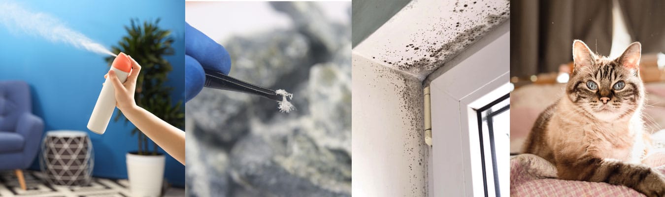 Indoor Air Quality Solutions | Commercial Cleaning & Restoration